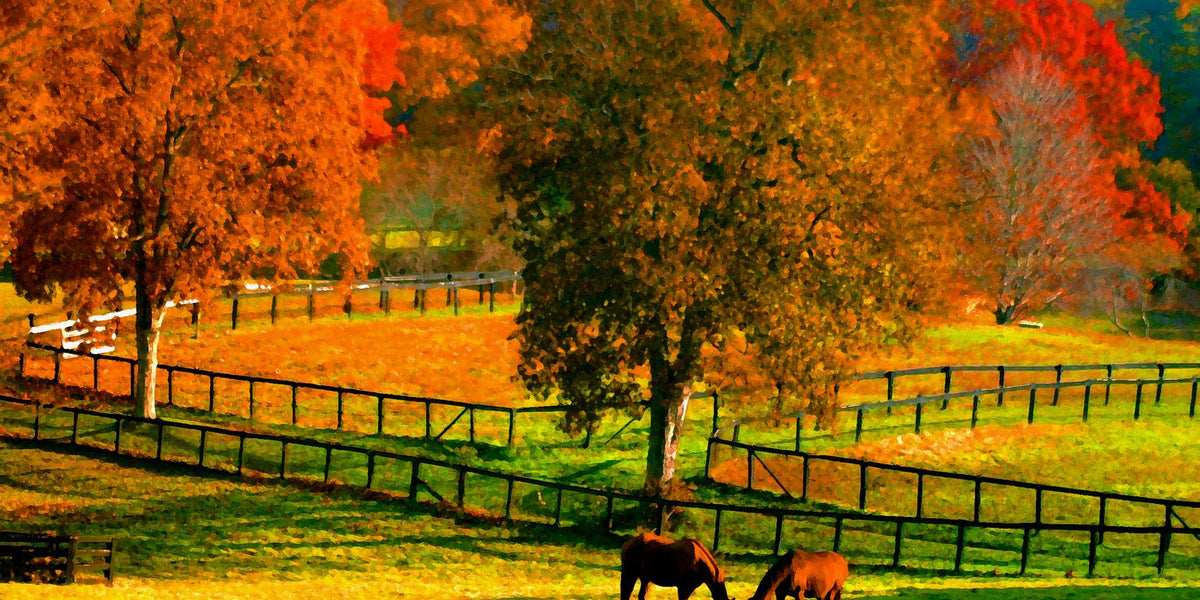 What is Fall Foundering and How Can It Be Prevented? — The Hitching ...