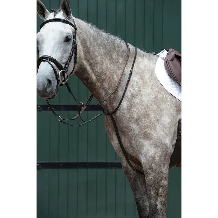 Collegiate Plain Flat Essential Running Martingale — The Hitching Post ...