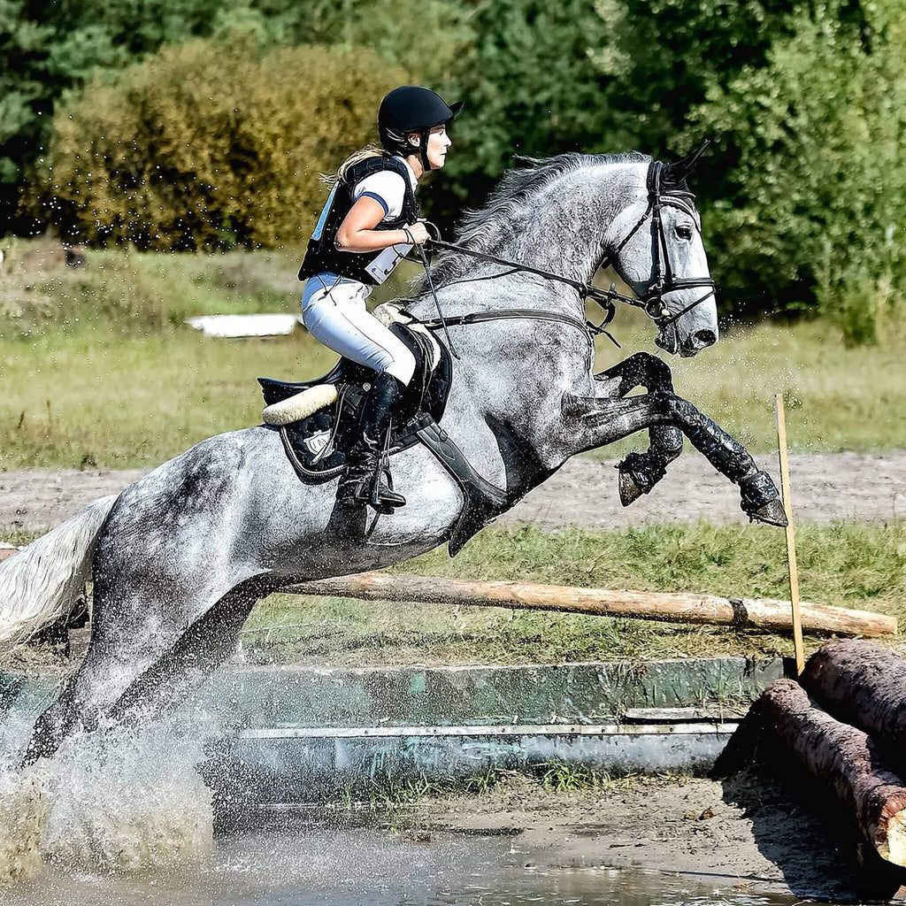 The Hitching Post Tack Shop