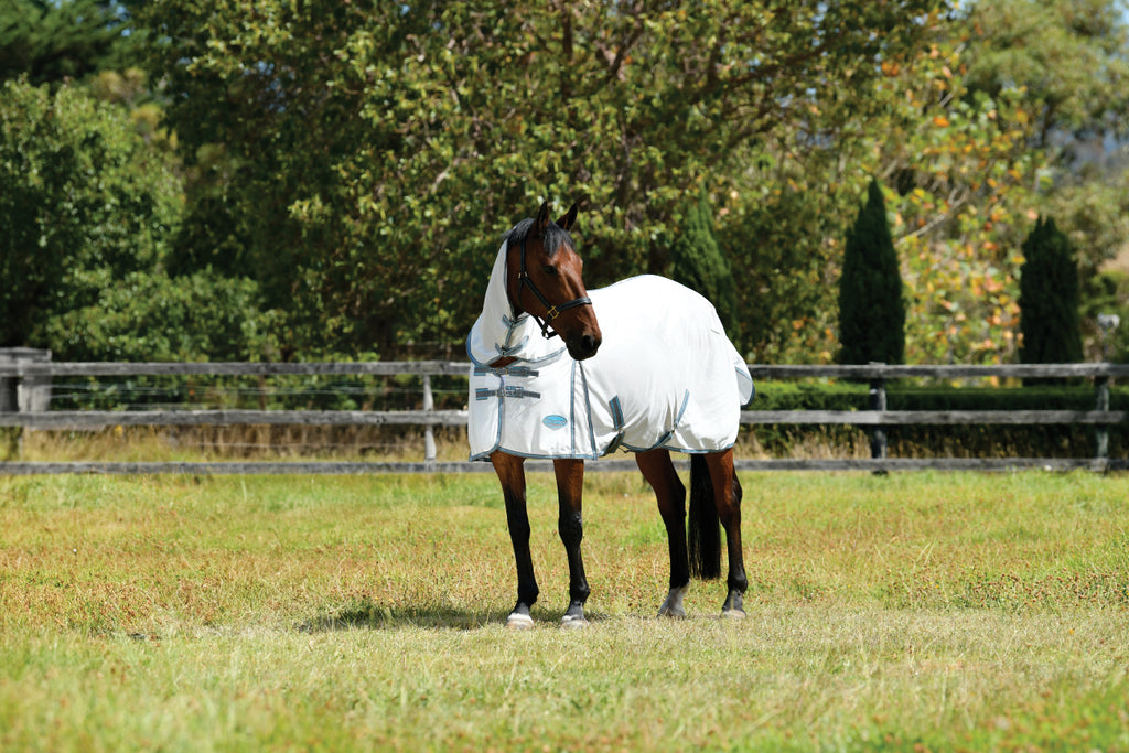 The Hitching Post Tack Shop