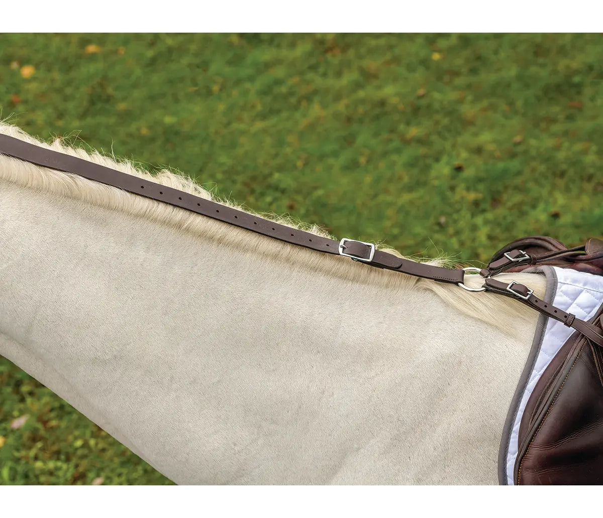 Shires Avignon Daisy Rein — The Hitching Post Tack Shop